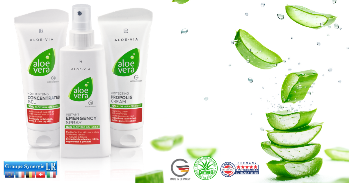 Aloe Vera Box